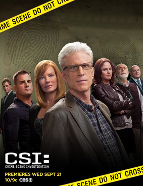 Décima quinta temporada de ‘CSI’ tem número de episódios reduzidos | VEJA