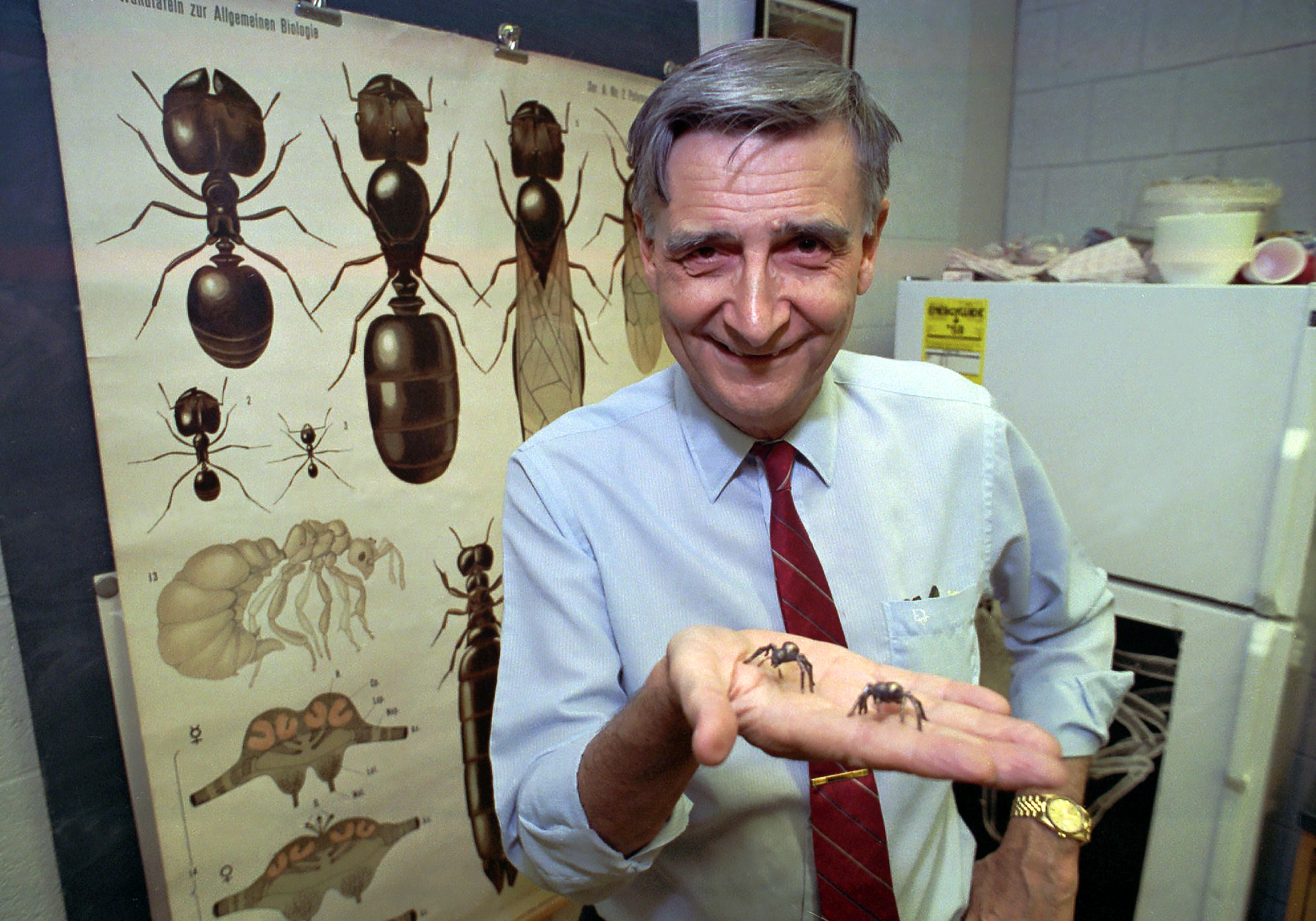 Livro de Edward Wilson mobiliza ciência para elucidar nosso lugar no ...