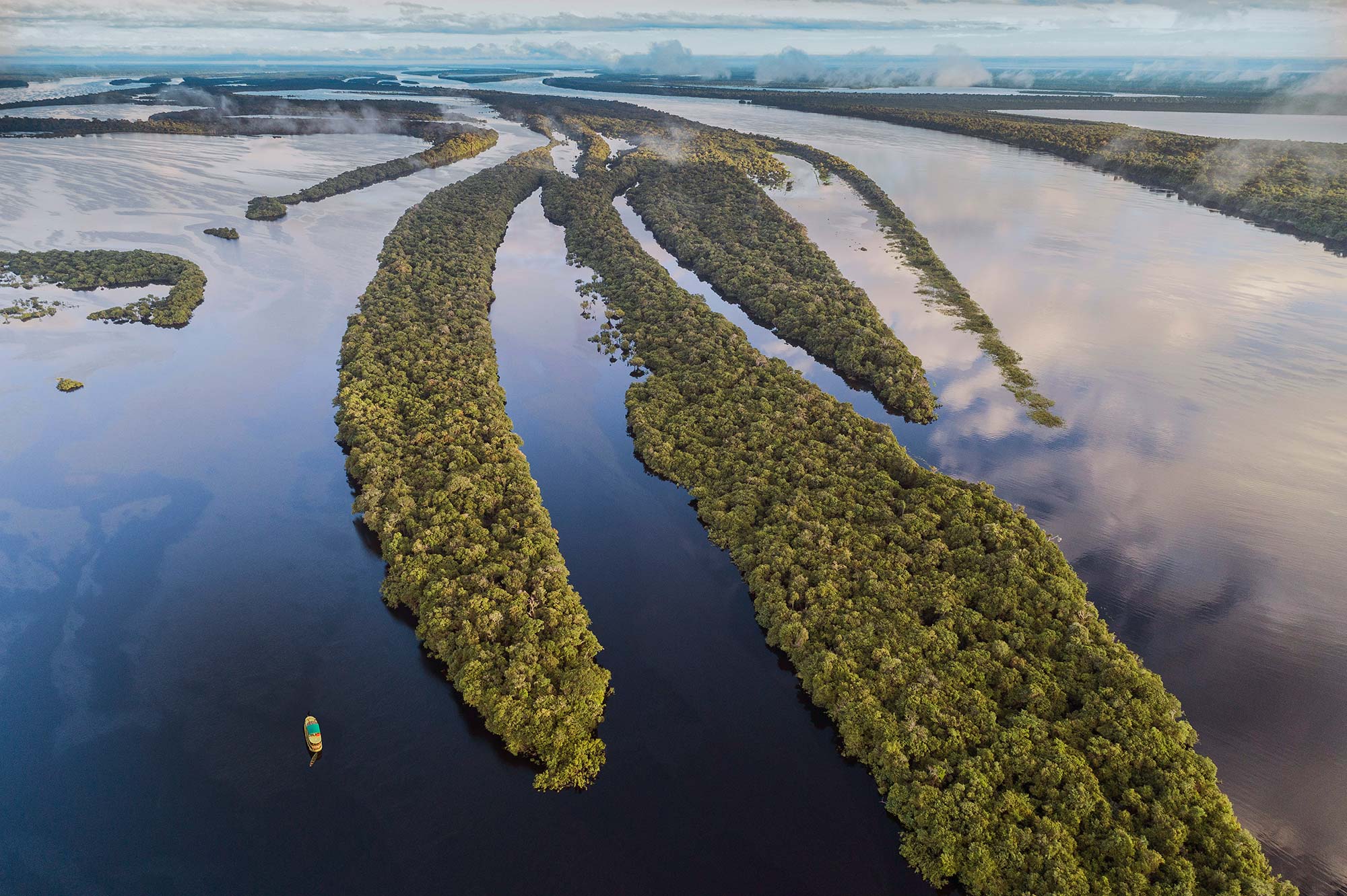 História da Amazônia (por André Gustavo Stumpf) | VEJA