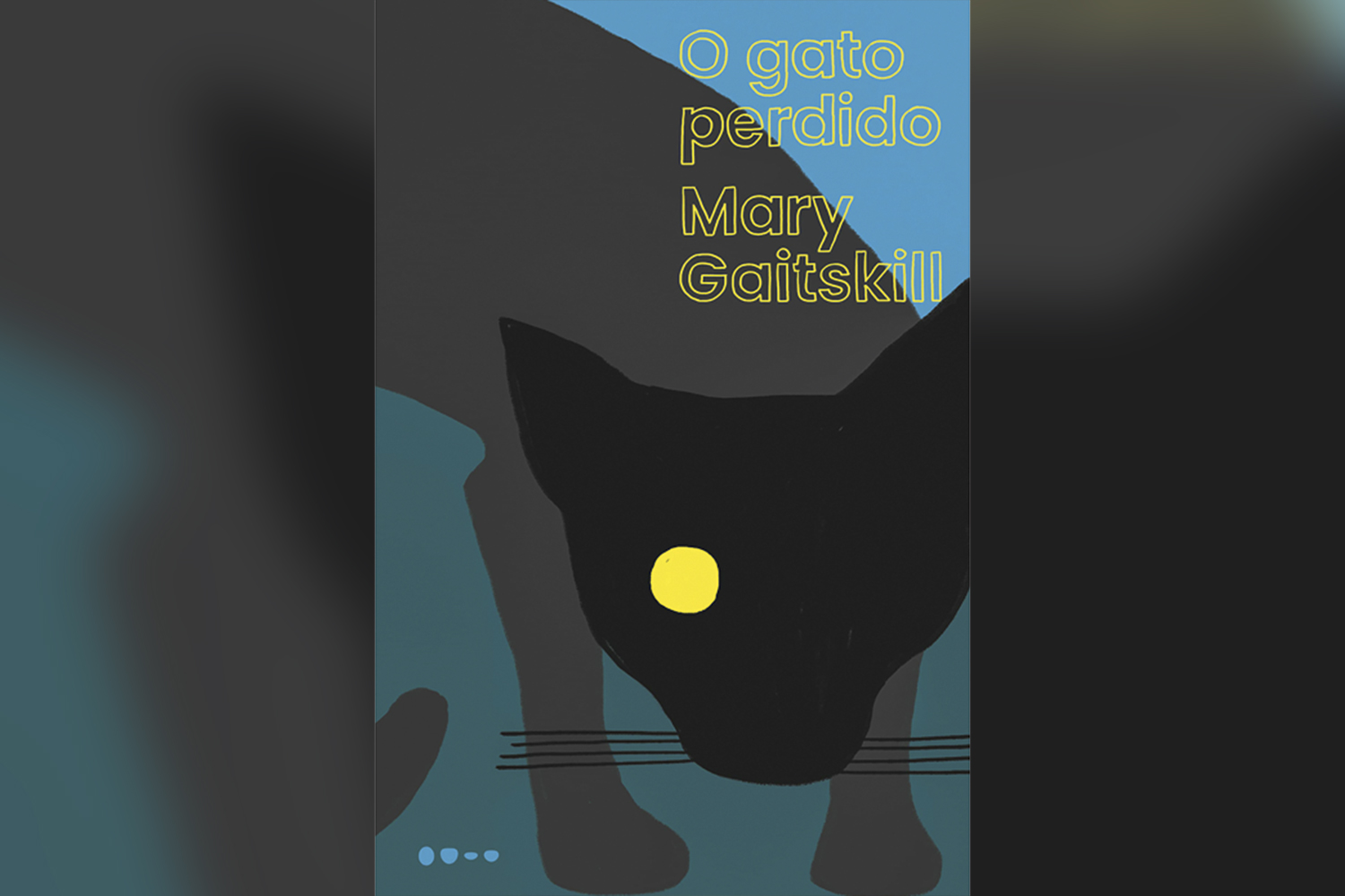 ‘O Gato Perdido’: livro de memórias traz reflexões sobre amor e adoção ...