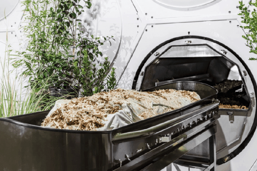 Compostagem humana: a nova opção para dispor de restos mortais | VEJA