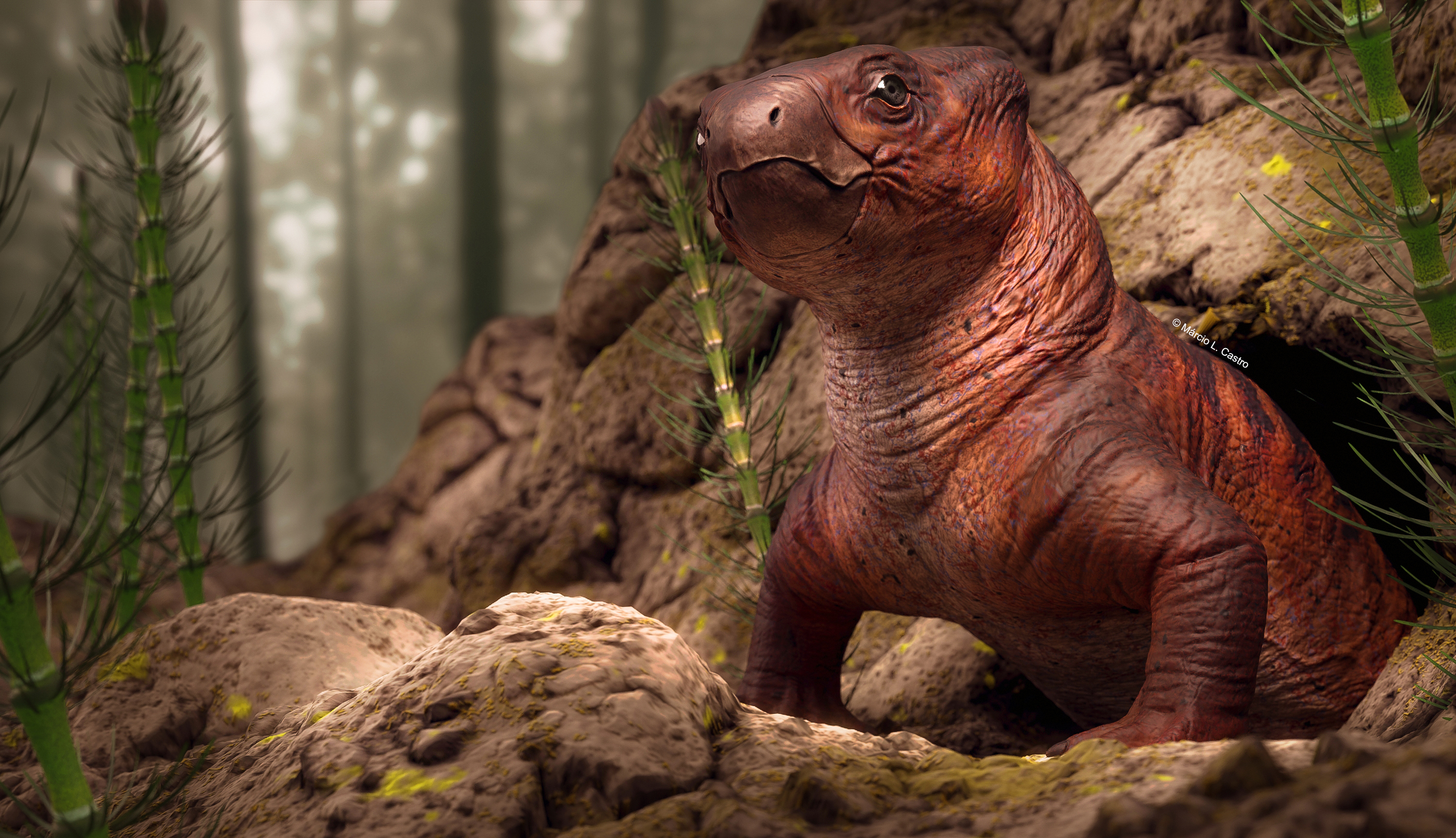 Tomografia revela interior de fóssil de mamífero pré-histórico no RS ...